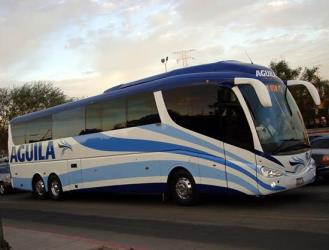 Cabo San Lucas to La Paz - 3 ways to travel via bus, taxi, and car