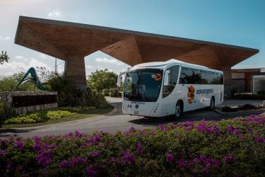 Progreso to Mérida - 4 ways to travel via bus, taxi, car, and shuttle